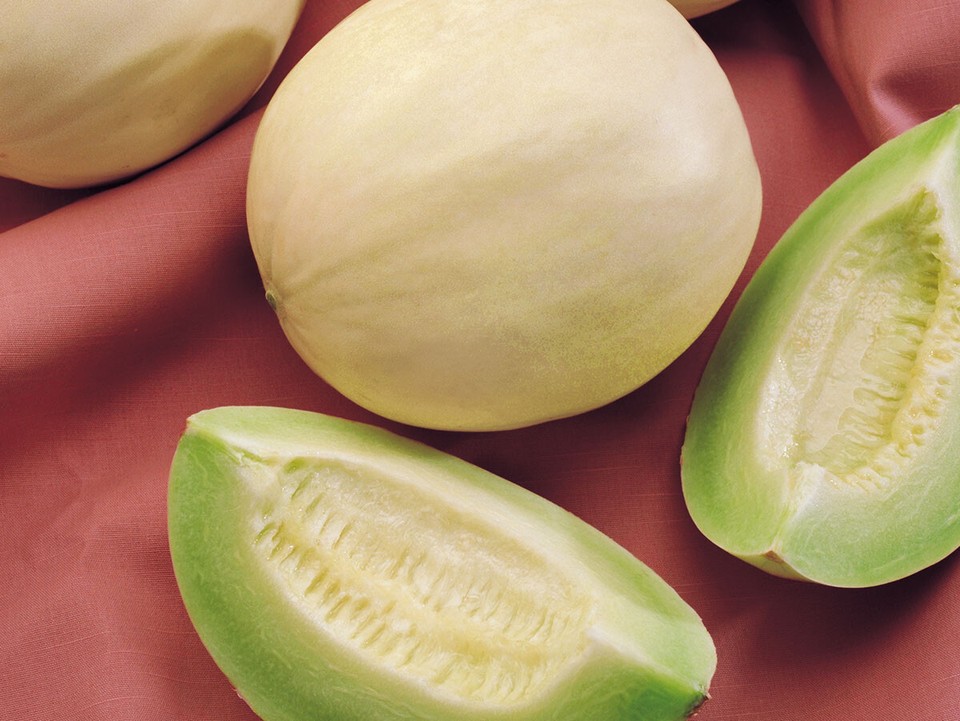 Sakata's Sweet Melon Seeds (Asian) | Conomon Small Thin Wall Honeydew ...