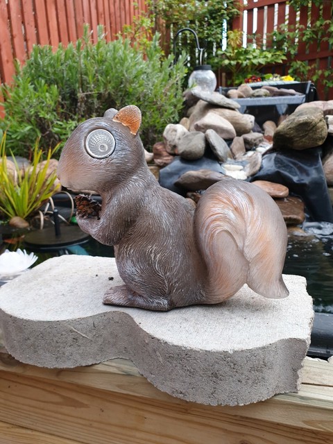 LED Solar Squirrel Garden Ornament Light up Acorn Nut Novelty Decor ...