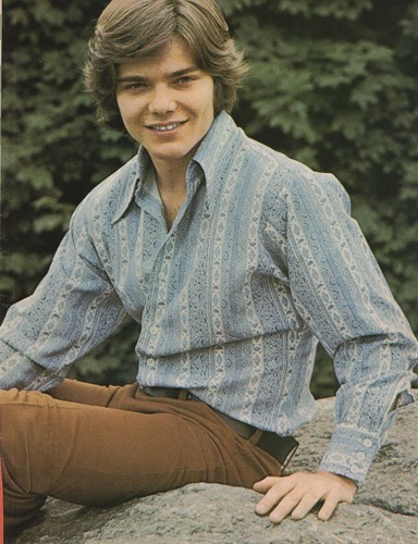 Ron Martin pinup Donny Osmond young portrait cuttings picture photo ...