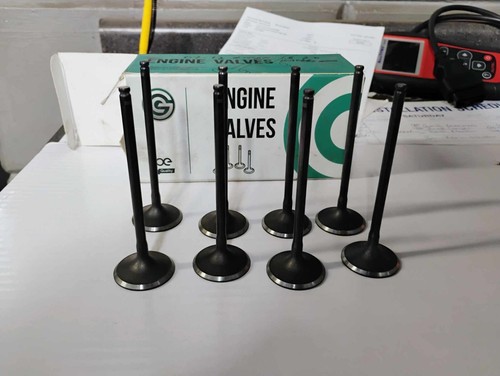 Intake Valves Fit 07-12 Nissan Sentra Versa Cube 1.8 2.0 MR18DE MR20DE ...