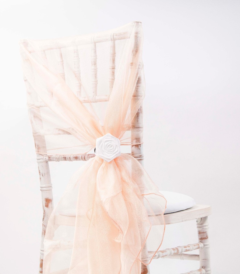 CHAIR COVER HOOD ORGANZA VARIOUS COLOURS WEDDING EVENT VENUE CHAIR ...