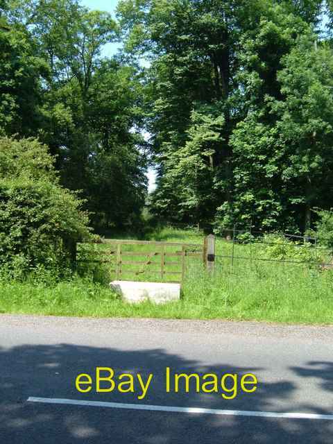 Photo 6x4 Disused Access Road Milton Wood Milton Bryan Even though it ...
