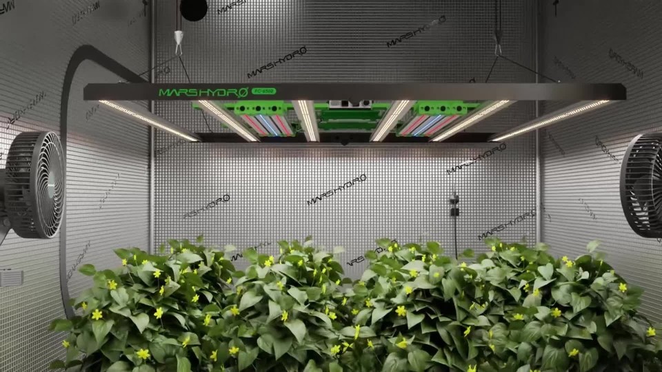 Mars Hydro 5L Ultrasonic Cool Mist Humidifier Air Humidifier for Plants ...