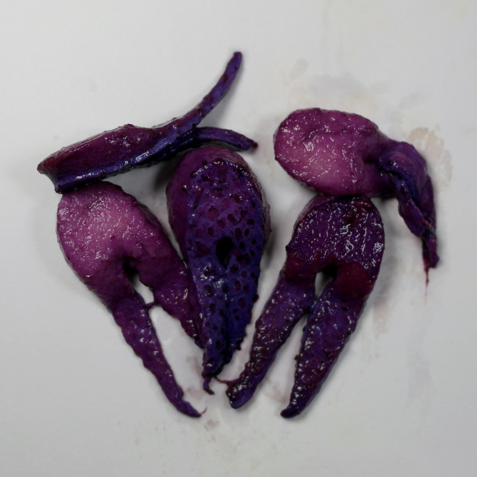 Uncle Josh # 101 type SALTY FROG Pork Rind Bait Frogs | eBay