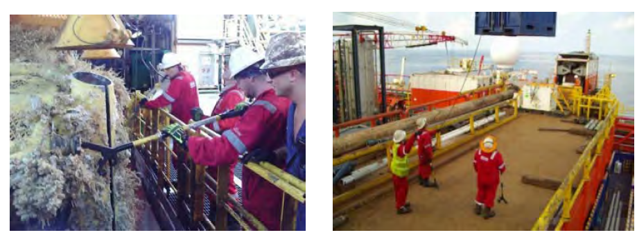 IndustrialHD Tangle Free Guiding Tagline lifted Load (10 to 45 Feet) | eBay