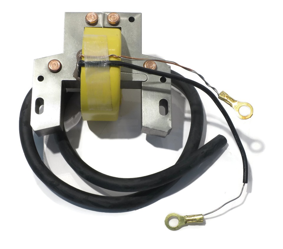 IGNITION COIL MODULE fits Briggs & Stratton 171701 190432 190701 190702 ...