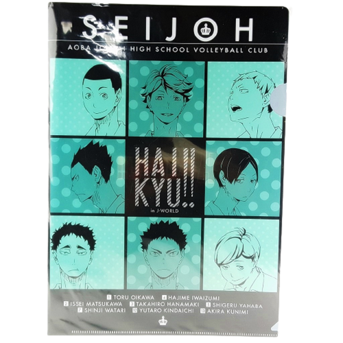 Volleyball Haikyuu!! Seijoh A4 Art Clear file Official | eBay
