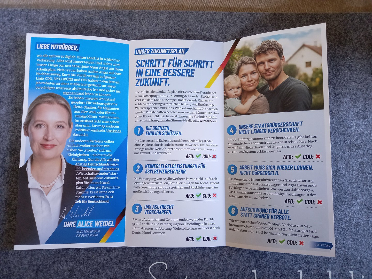 AfD - Alternative für Deutschland, Zeit für unsere Zukunft! Flyer zur ...