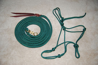 12' LEAD WITH TWIST SNAP & SOFT ROPE HALTER FOR PARELLI TRAINING, MANY ...