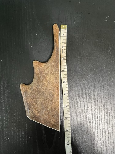 Utah MOOSE 9” Antler Dog Chew(#7)Dog Chew | eBay