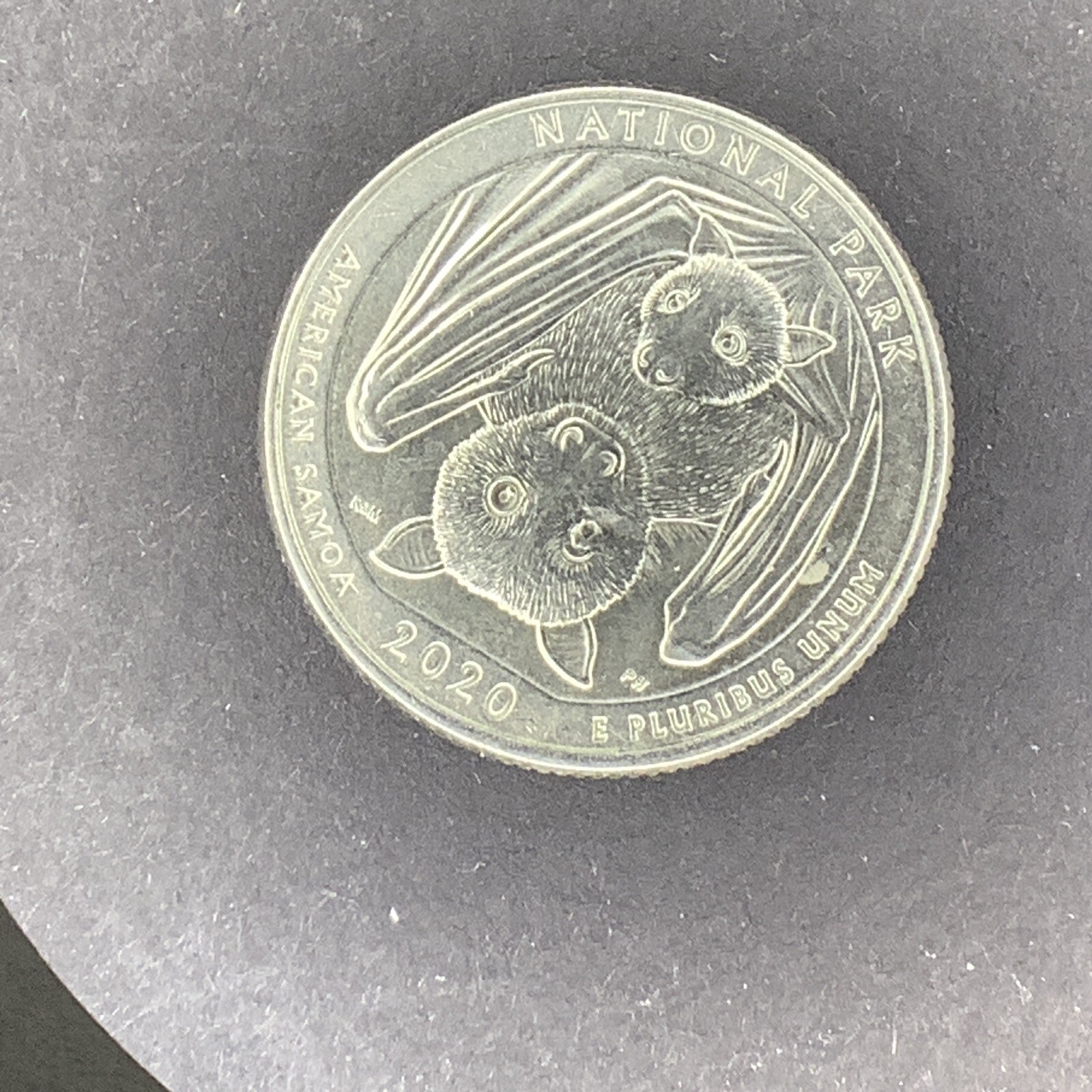 2020 P American Samoa Bat Eye Die Gouge Error Coin | eBay