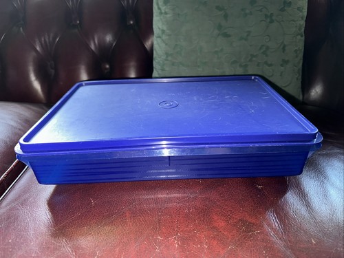 Tupperware Rectangular Snack 'N Store Savoury Keeper Container - Blue ...