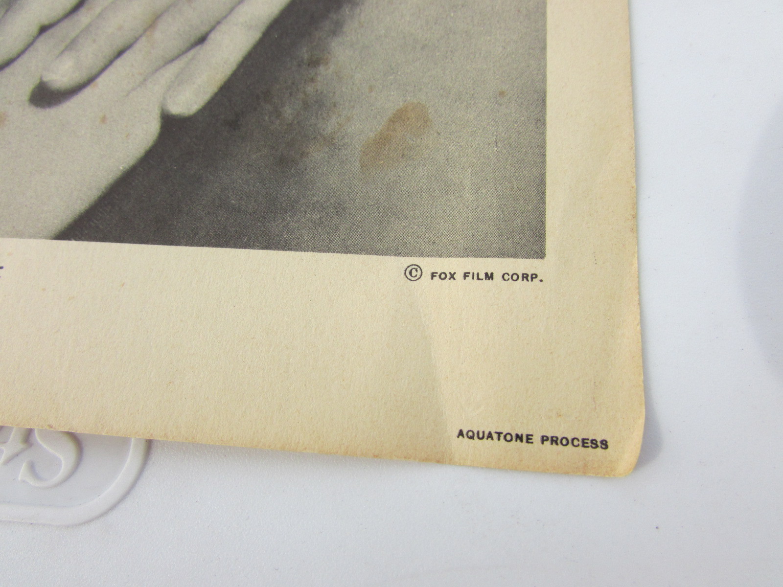 Shirley Temple Fox Our Little Girl Rare Photo Original Philadelphia ...