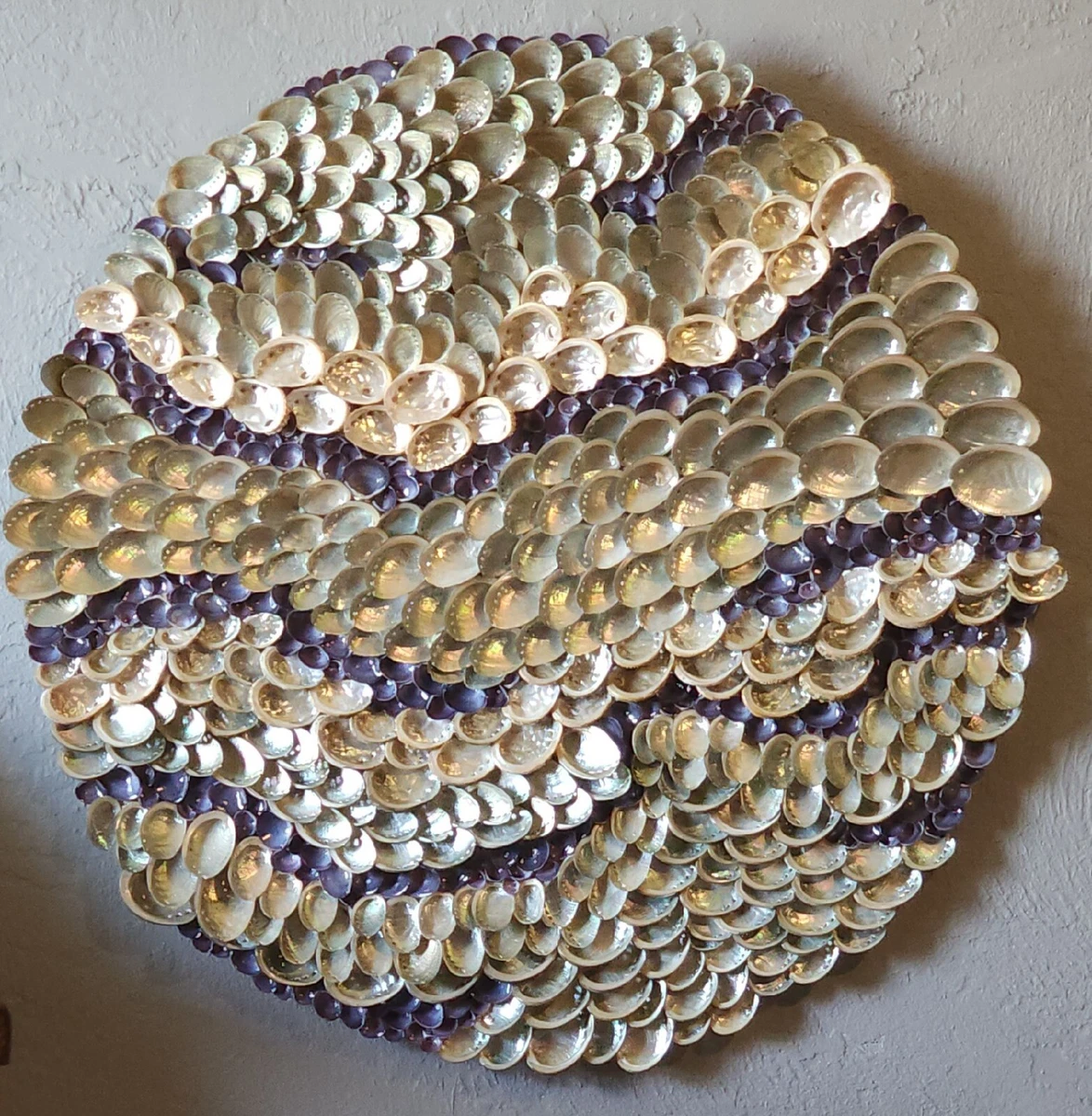 Abalone Shell Structure