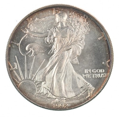 Beautiful Toned - 1992 American Silver Eagle 1 Troy Oz .999 Fine Silver ...