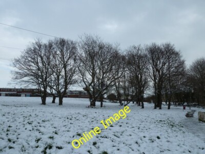 Photo 6x4 Trees within a snowy Sharp's Copse Havant c2013 | eBay UK