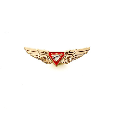 Pathfinder Club Wings pin | eBay