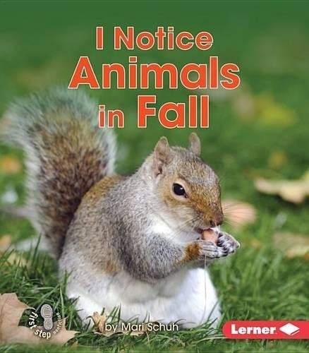 Mari Schuh I Notice Animals in Fall (Taschenbuch) (US IMPORT) | eBay.de