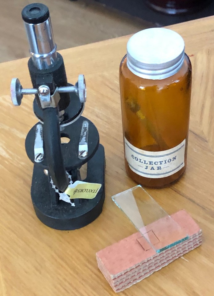 Microscope Set Display Box w Specimen Glass Jar Nitto Shokai Japan ...