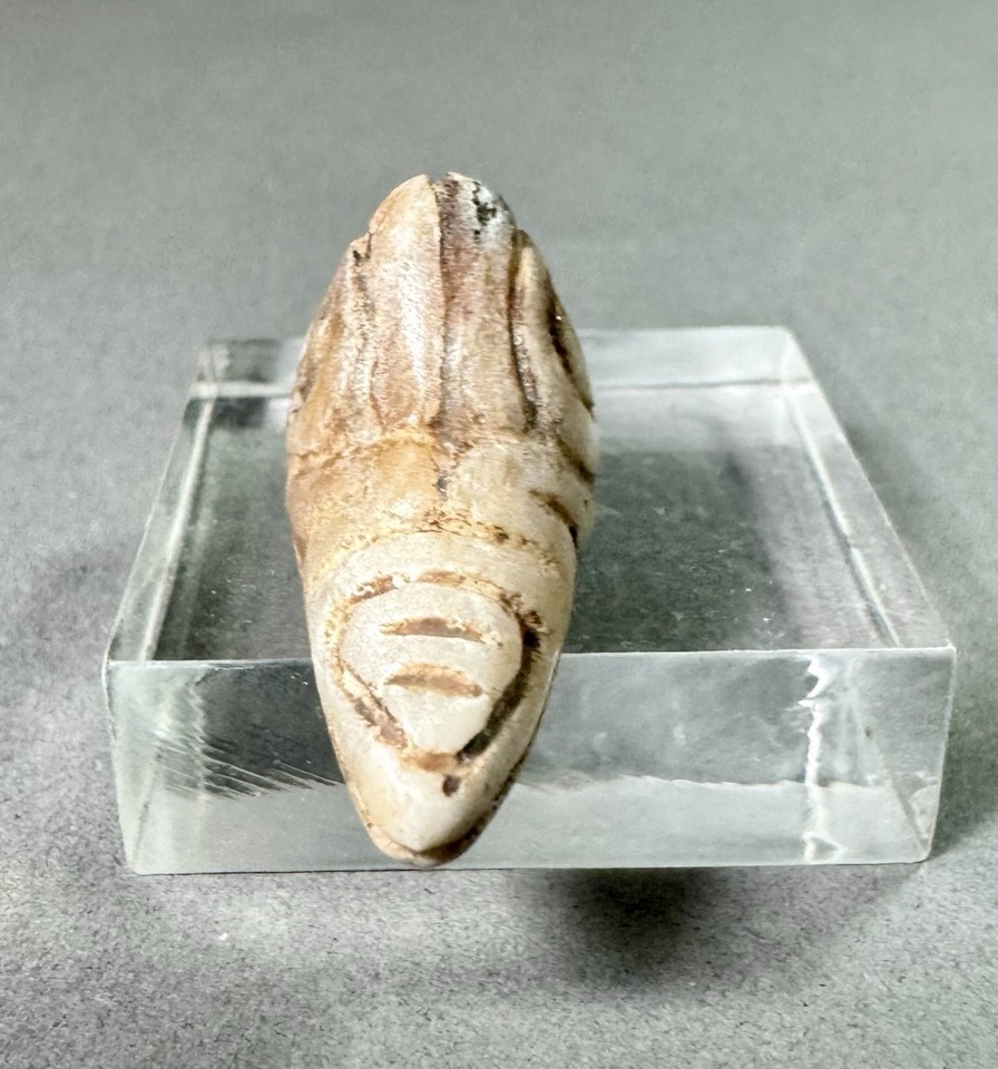 Taino. 3 Miniature Zemis Or Three Pointers. Hispaniola | eBay