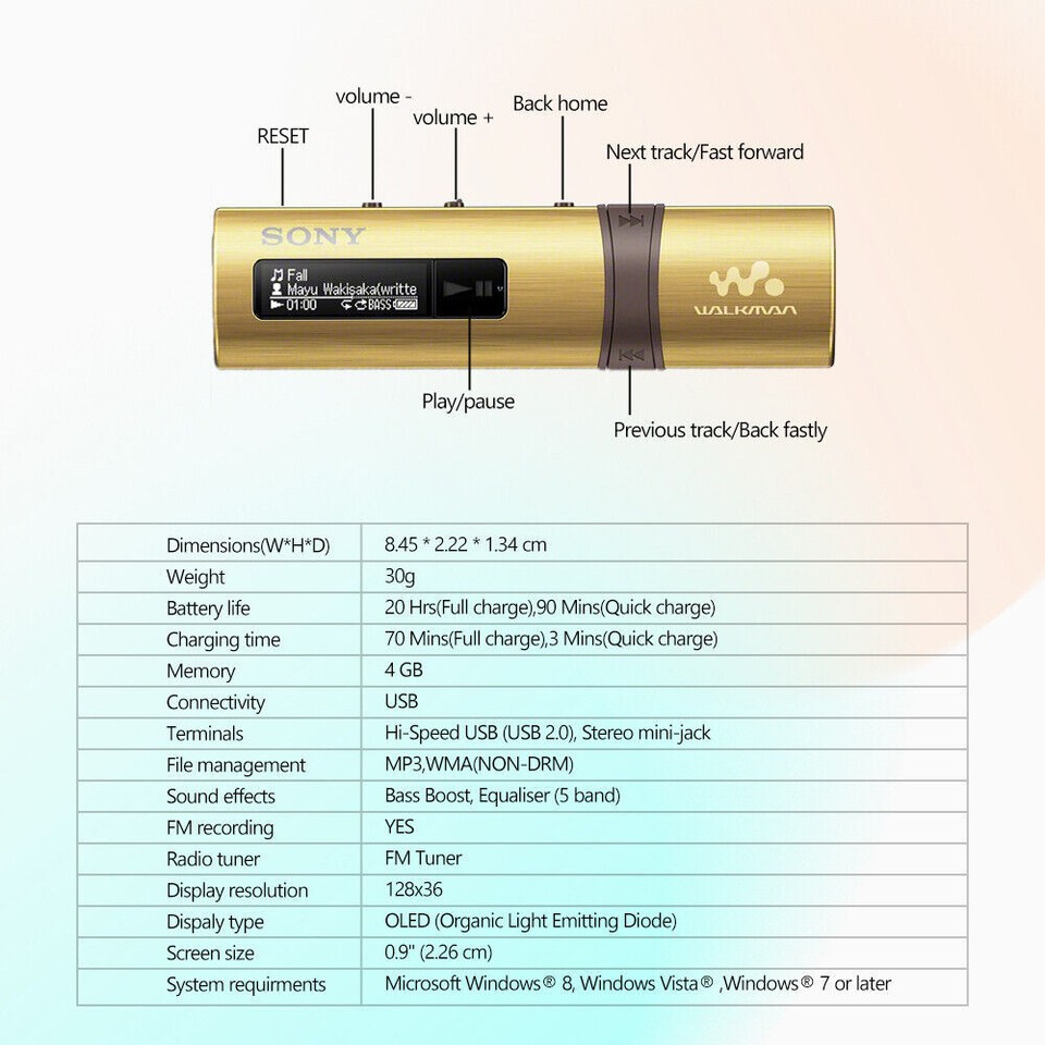 Sony MP3 NWZ-B183F Protable Music Player 4GB Walkman Rechargeable USB ...