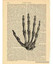 Skeleton Hand Art Print on Vintage Book Page Medical Anatomy Hanging ...