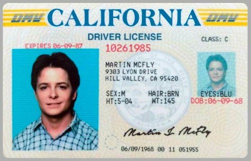 Marty McFly Drivers License ID Card Back To The Future BTTF Michael J ...