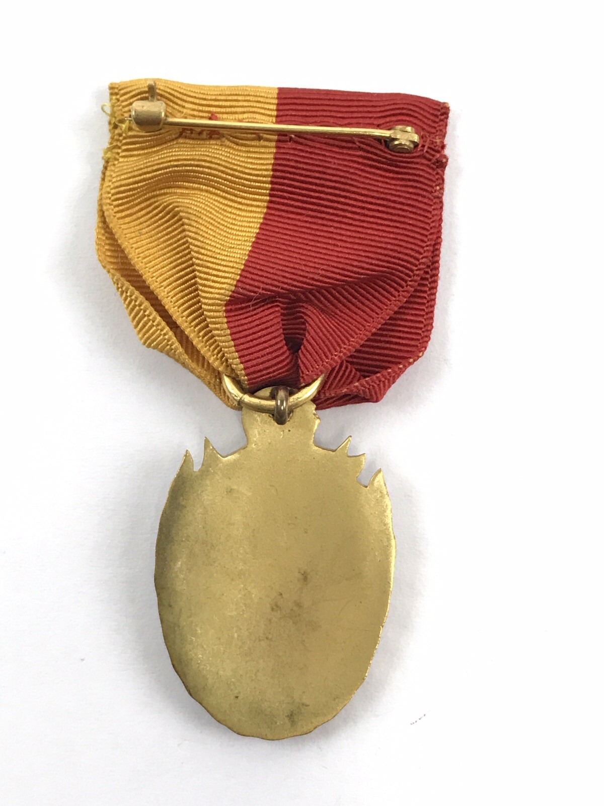 Vintage National Society of Magna Charta Dames Insignia Medal, Lion ...