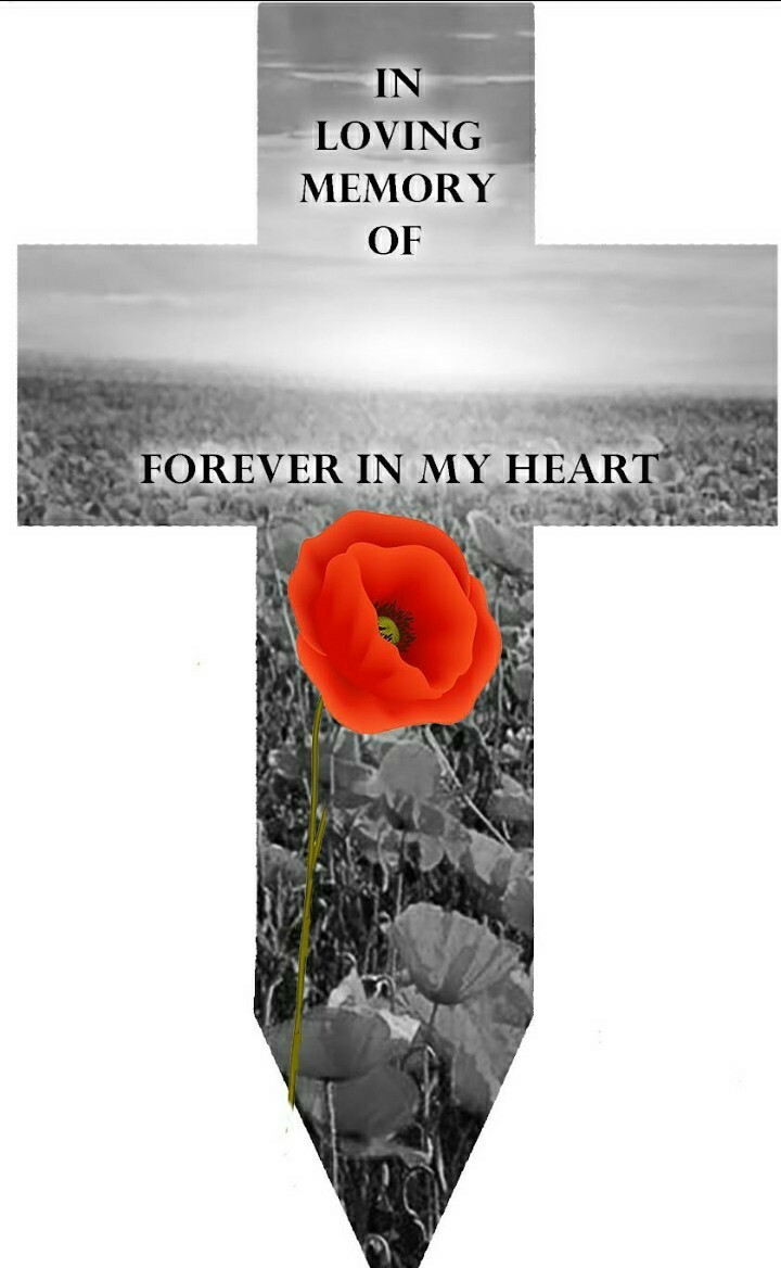Poppy Day Memes