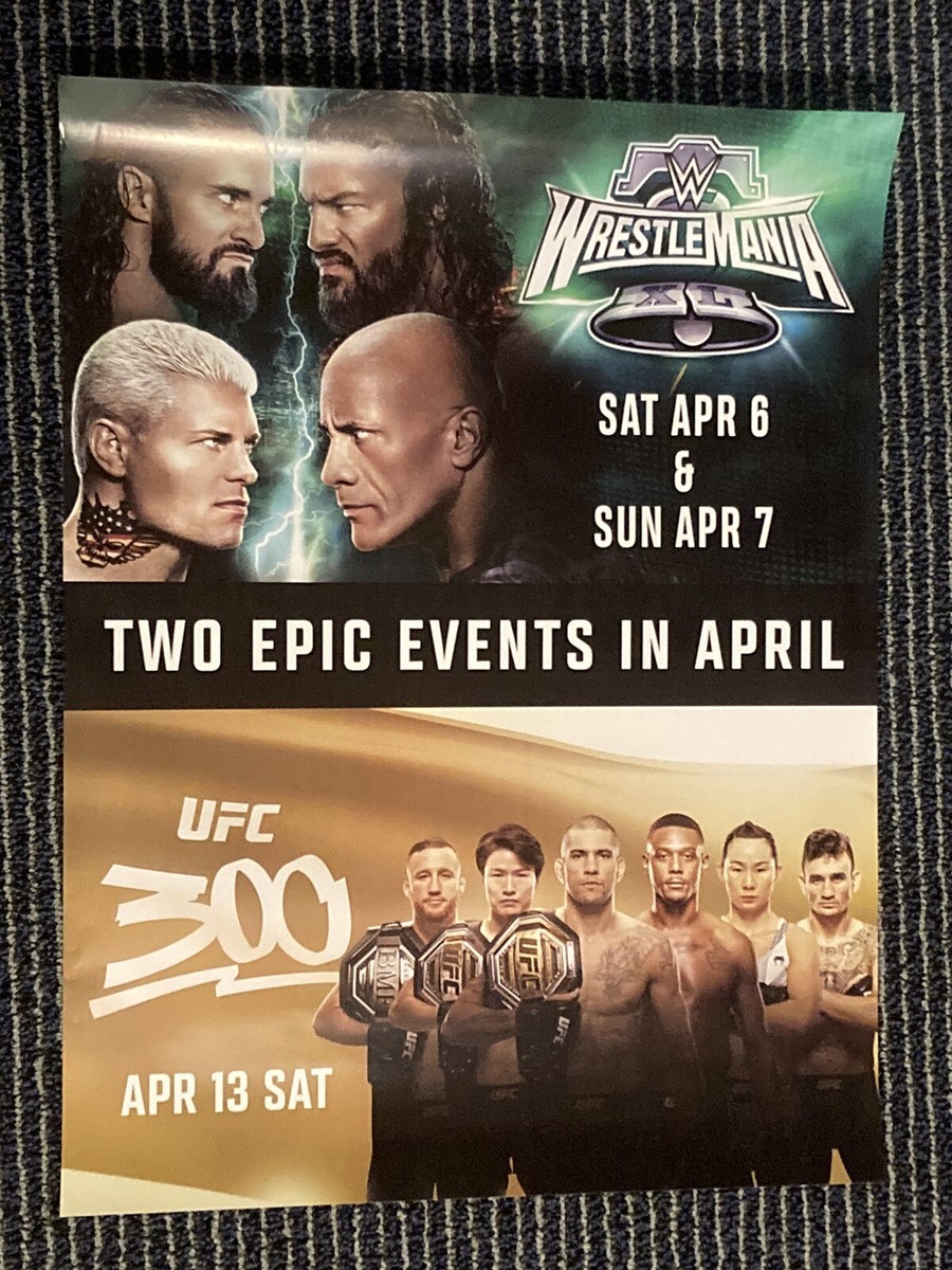 Ufc Poster 300