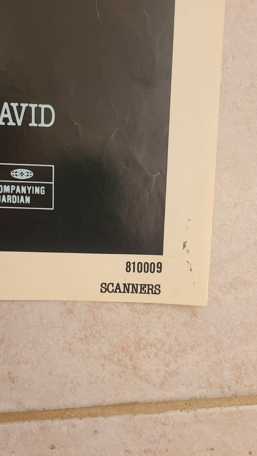 Scanners 1981 USA 1 Sheet Movie 27x41 Poster Autographed by Michael ...