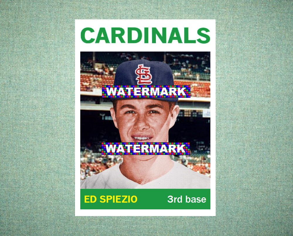 Ed Spiezio St Louis Cardinals 1964 Style Custom Baseball Art Card | eBay