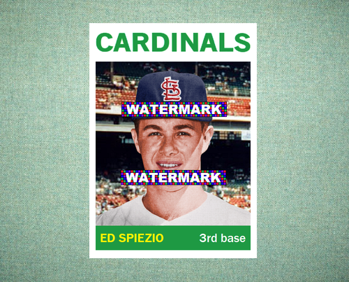 Ed Spiezio St Louis Cardinals 1964 Style Custom Baseball Art Card | eBay
