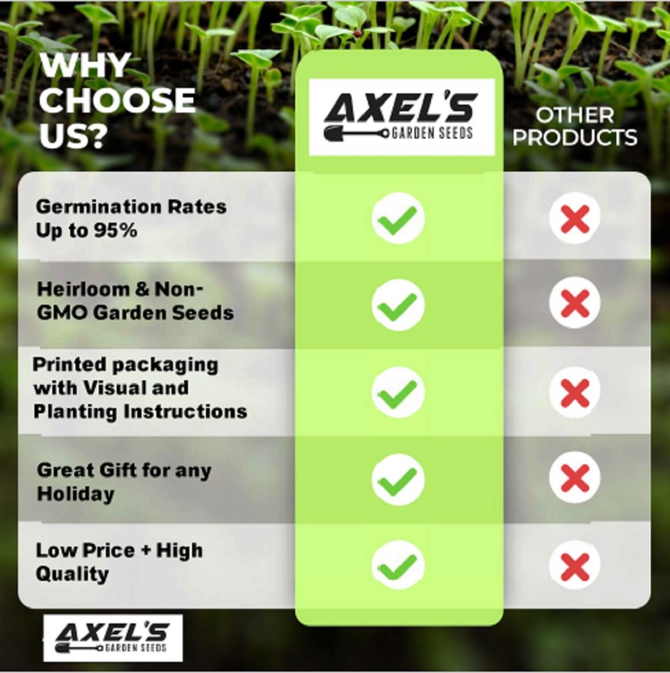 Evergreen Parsley Seeds | Heirloom | Non-GMO | Fresh Garden Seeds | eBay