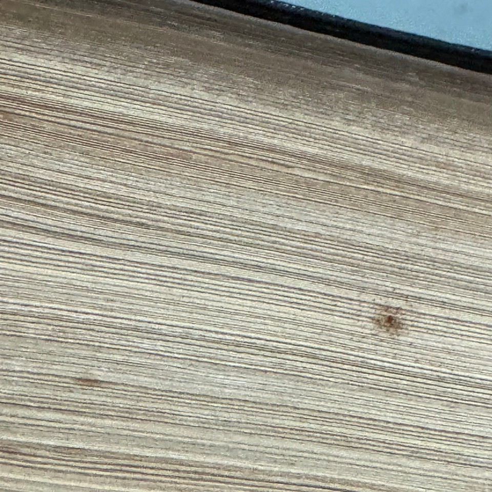 Rex Humbard Prophecy Bible Edition King James Version Black Genuine ...