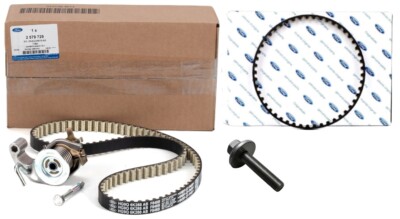 Genuine Ford Transit MK8 & Custom 2L ECOBLUE Wet Belt Kit, Oil Pump ...