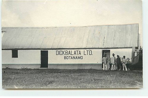 Venezuala - RPPC - Dickbalata Ltd. Botanamo | eBay