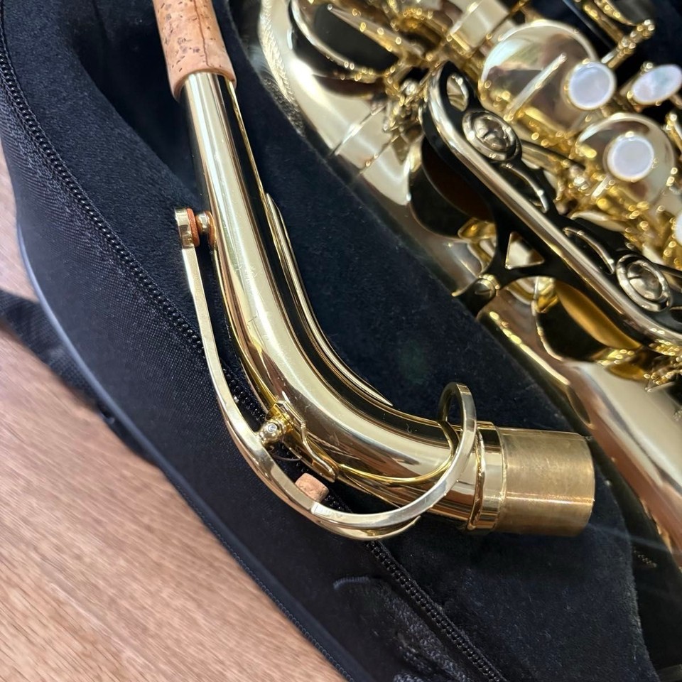 Selmer AXOS Alto Saxophone Gold Well-maintained Used with Semi-Hard ...