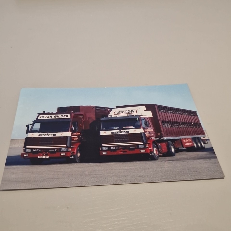 Peter Gilder Scania 142 & Scania 112 Livestock Truck/Lorry photo 6x4 | eBay