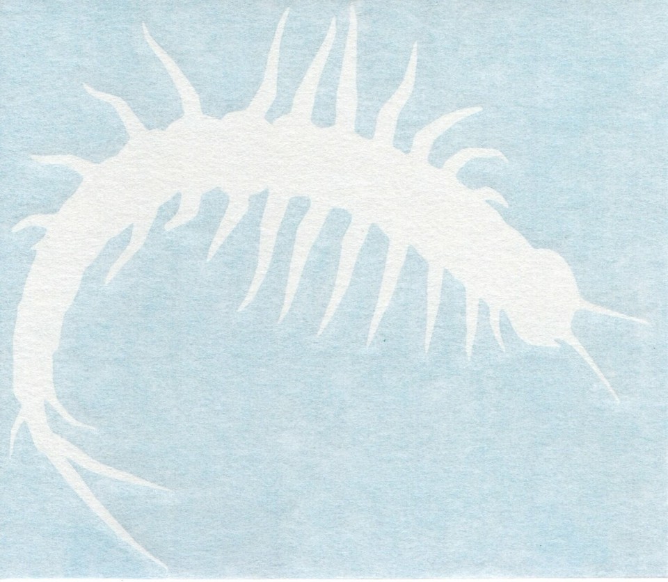 Centipede Insect Car Window Bumper Vinyl Decal Sticker 01304 | eBay