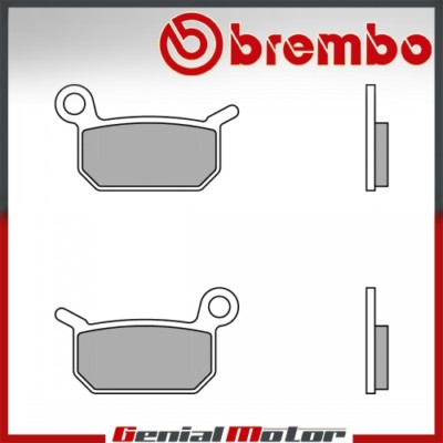 Rear Brembo SD Brake Pads for Lem RX2 50 2003 > 2005 | eBay Australia