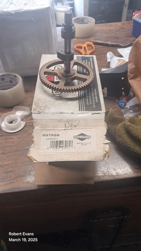 Briggs & Stratton 252707 Engine Camshaft 697668, | eBay