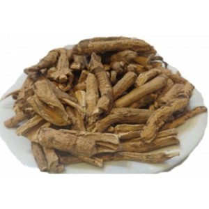 Indian Jalap Operculina Turpethum Nishoth Trivrit Turpeth Nisoth Stem ...