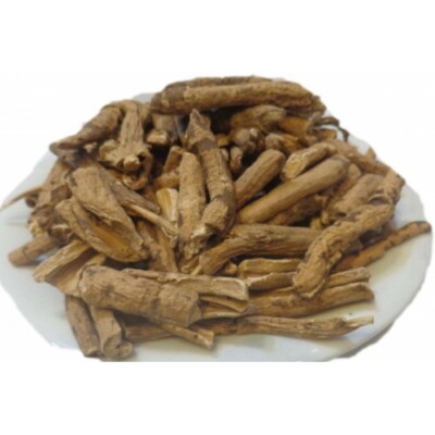 Indian Jalap Operculina Turpethum Nishoth Trivrit Turpeth Nisoth Stem ...