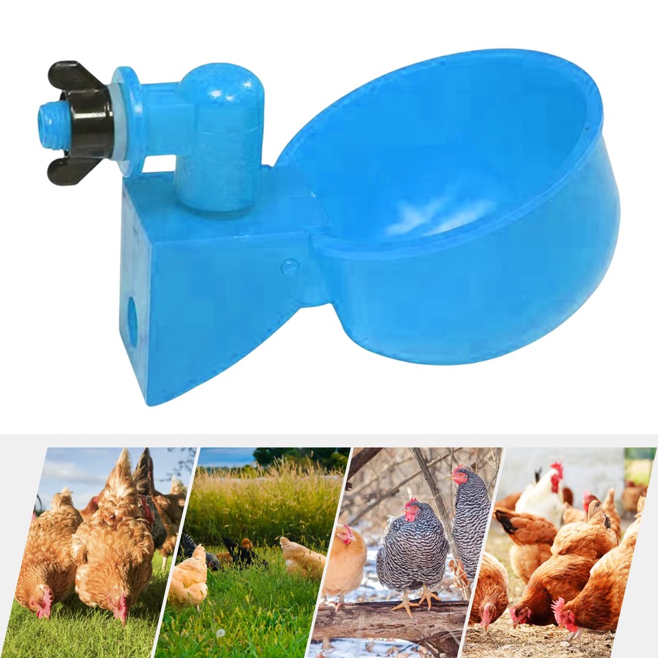 6pcs Chicken Duck Drinking Bowl Hanging Automatic Chick Ducks Drinker ...
