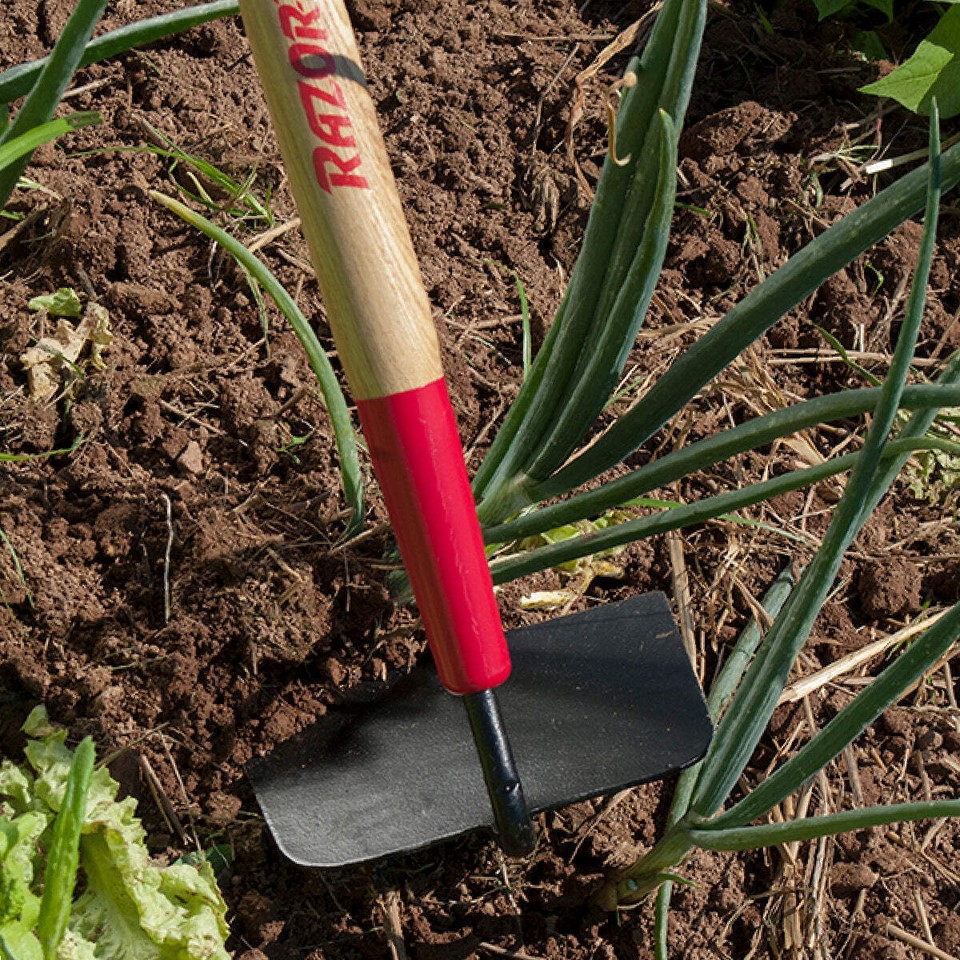 Razor-Back 71112 Cotton Hoe with 60-inch Wood Handle | eBay