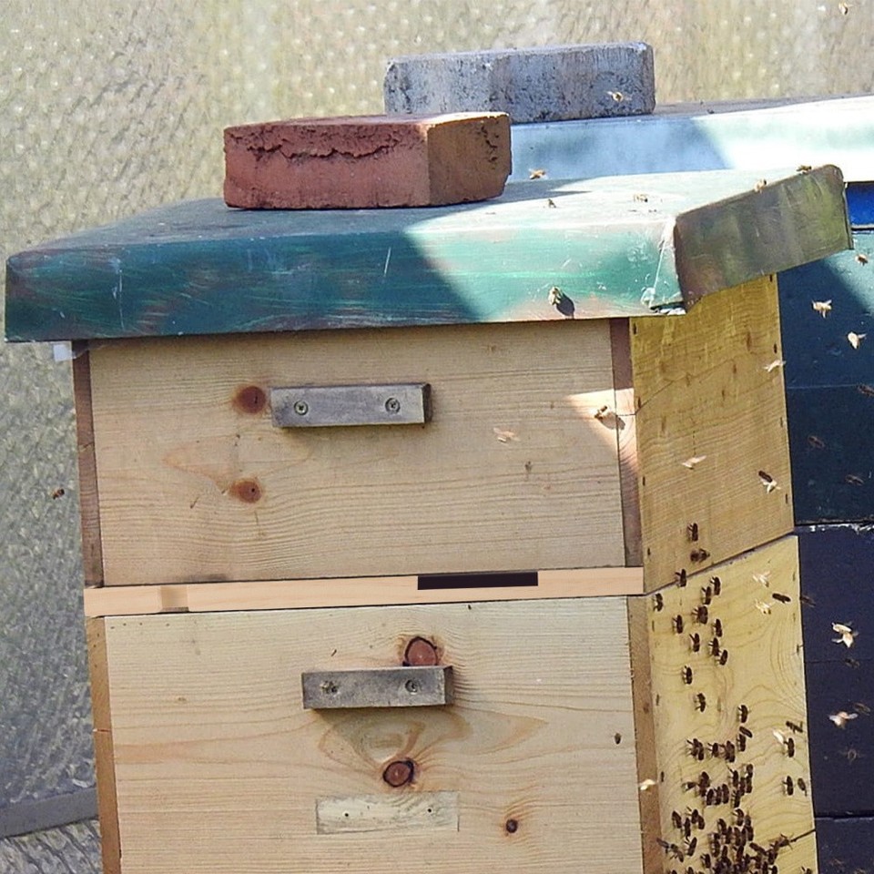 Bee Hive Entrance Reducer Set 4Pcs Wooden Beekeeping Tool Supplies | eBay