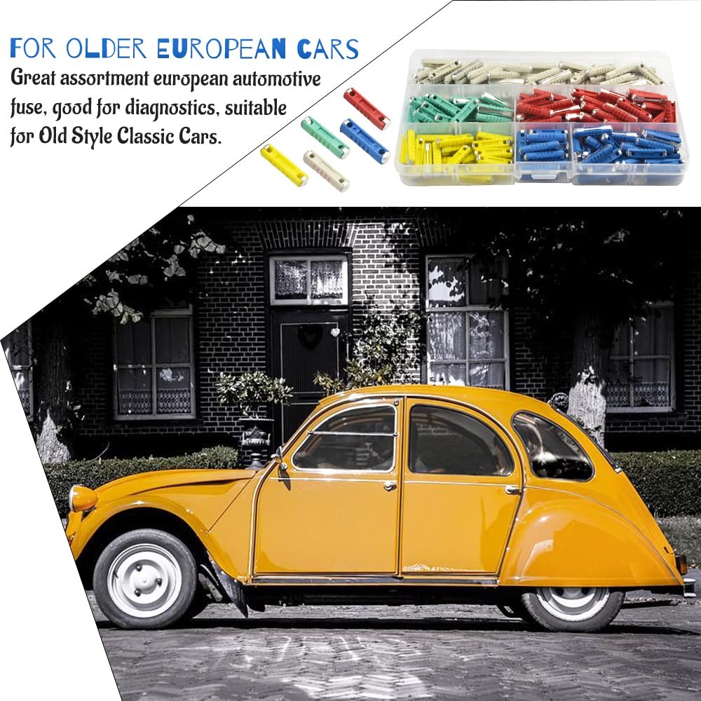 200 PCS Car Fuses European Automotive Fuse 5A 8A 10A 16A 25A for ...