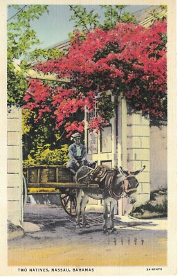 BAHAMAS SC92 SG116 SLOGAN "COME TO NASSAU ETC" NASSAU FEB 15 1932 | eBay