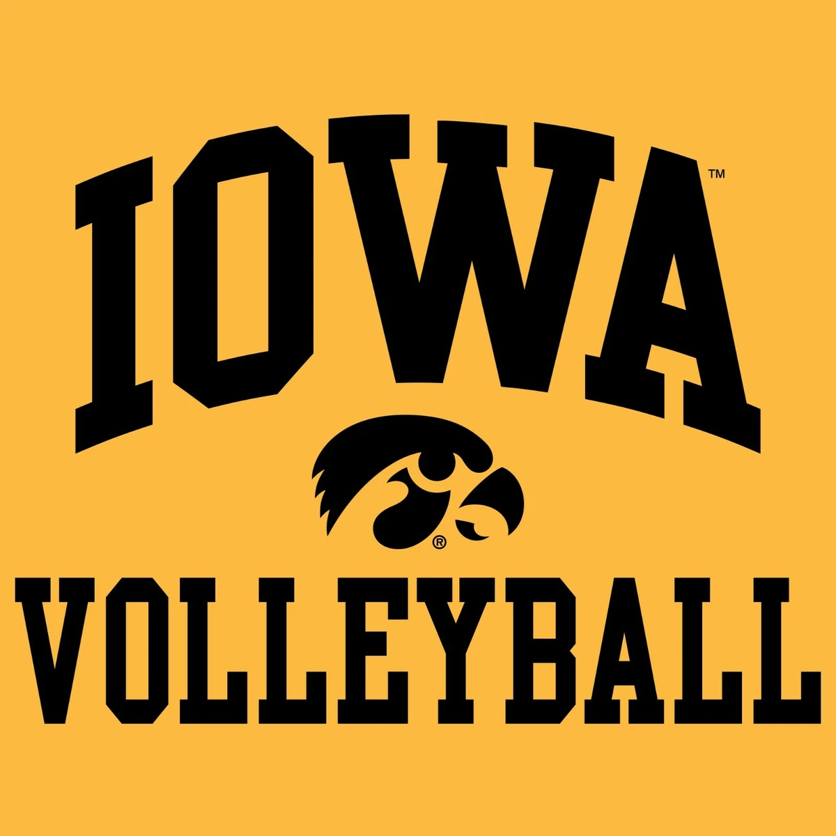 Iowa Hawkeyes Volleyball